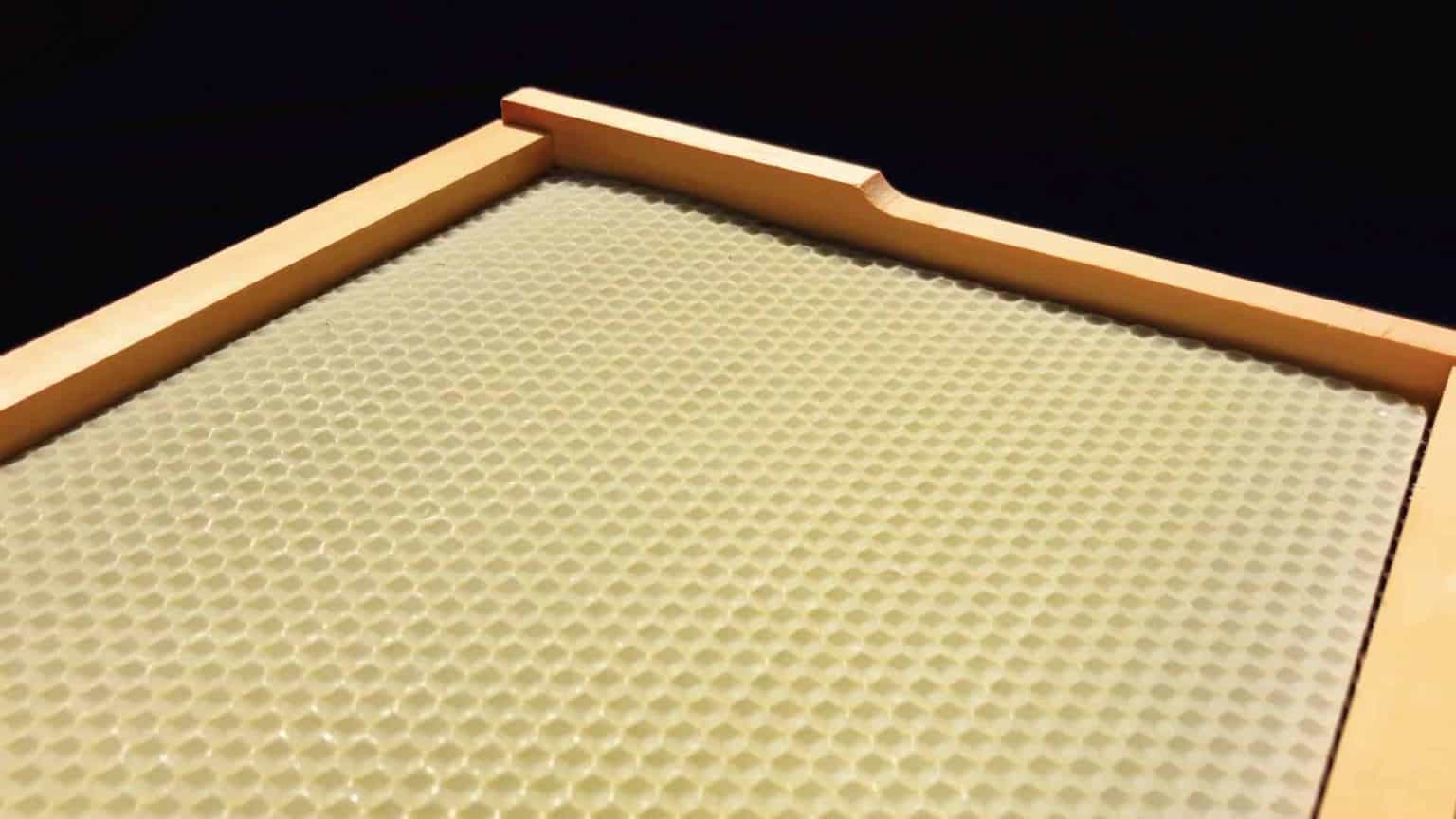 Types Of Brood Frames You Should Know | Farmvina