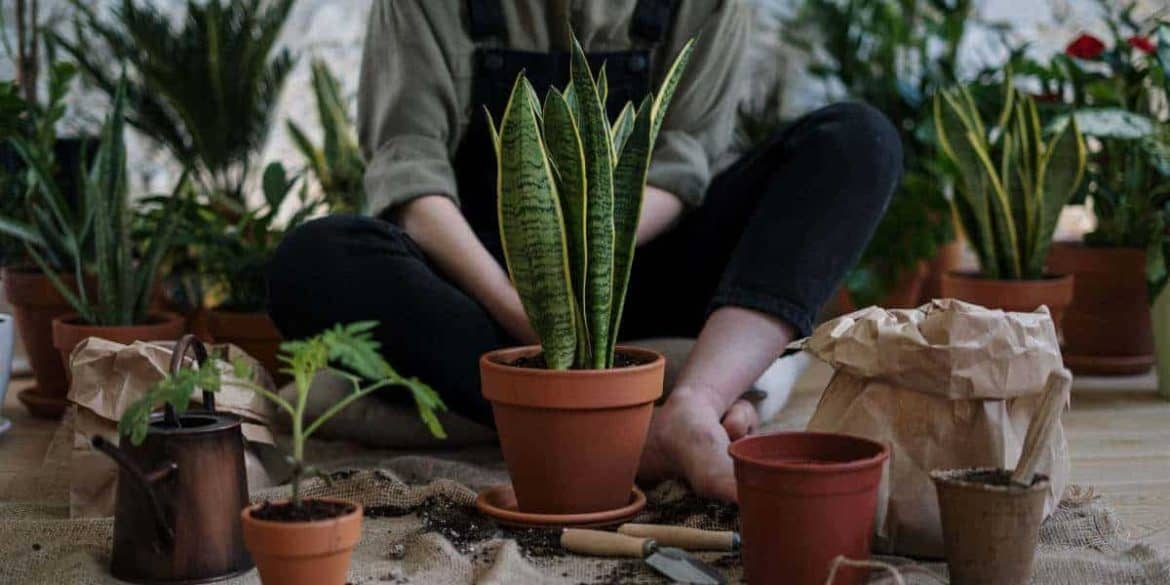 Homestead Gardening Types You May Not Know Yet | Farmvina