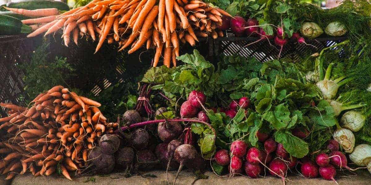 Which Crops Are Better Suited For The City? | Farmvina