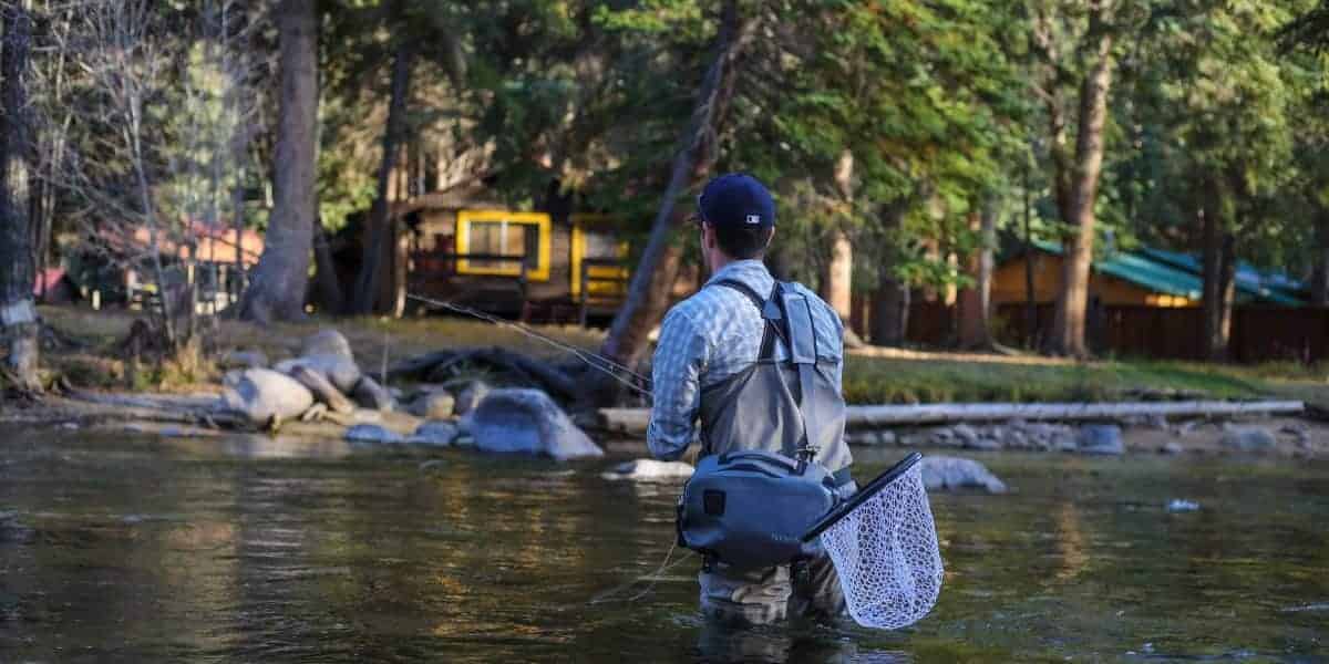 Fall Carp Fishing Tips To Learn By Heart | Farmvina