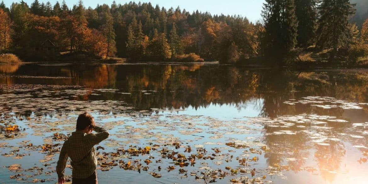 Fall Carp Fishing Tips To Learn By Heart | Farmvina