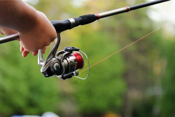 Types of Fishing: Exploring the Many Techniques and Styles | Farmvina