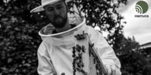 What is an Apiary? Explore the World of Beekeeping! | Farmvina