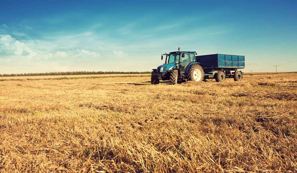 Farm Work: Unveiling the Secrets of Agricultural Success | Farmvina