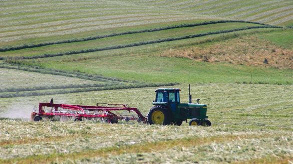 Hay Farming Success: Proven Strategies for High Yields | Farmvina