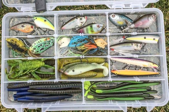 Types of Fishing: Exploring the Many Techniques and Styles | Farmvina