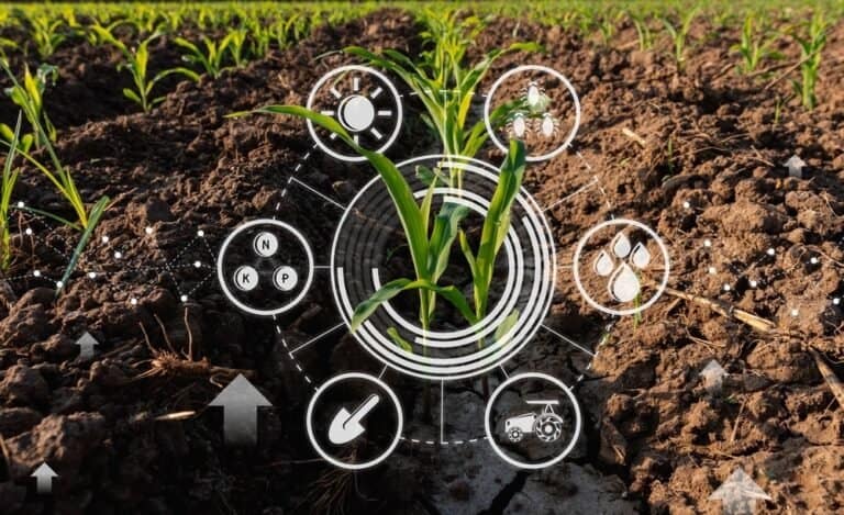Agricultural Biotechnology: Transforming Agriculture | Farmvina