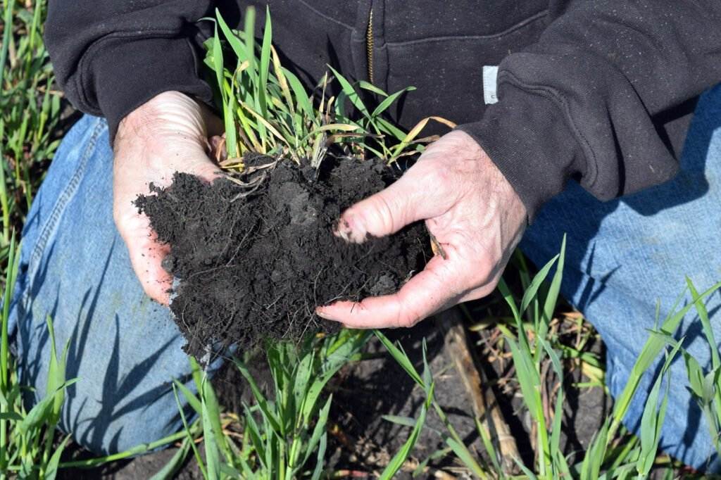 Sustainable Organic Farming Practices For Small-Scale Farmers | Farmvina